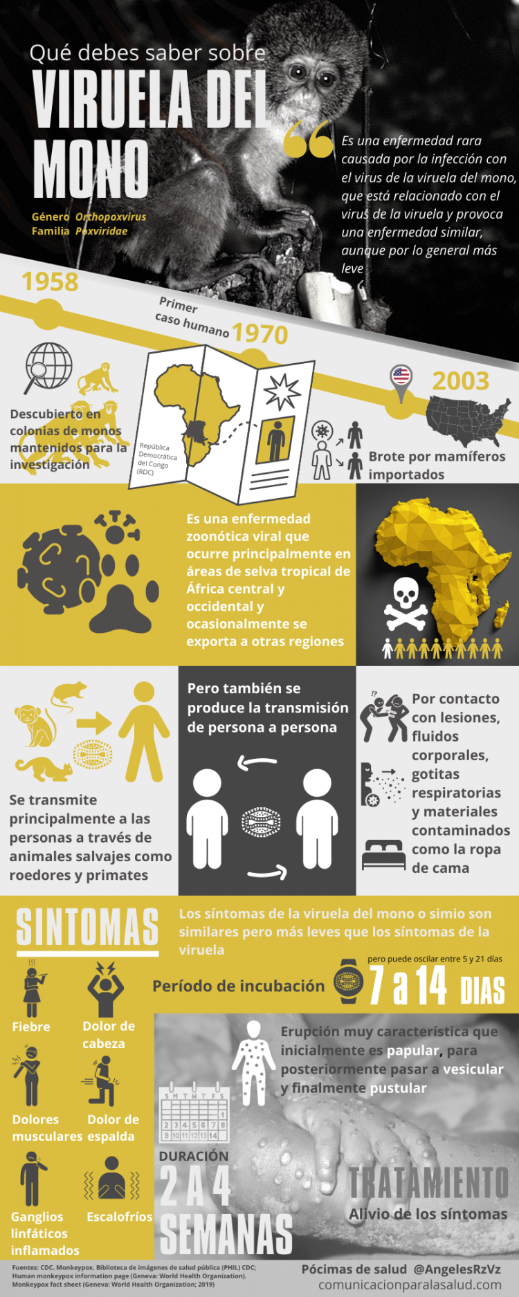 Viruela del mono: todo lo que debes saber - Pocimas de salud